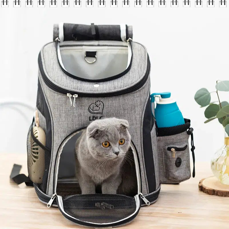 Durable Cat Carrier Backpack – I Love Kittys