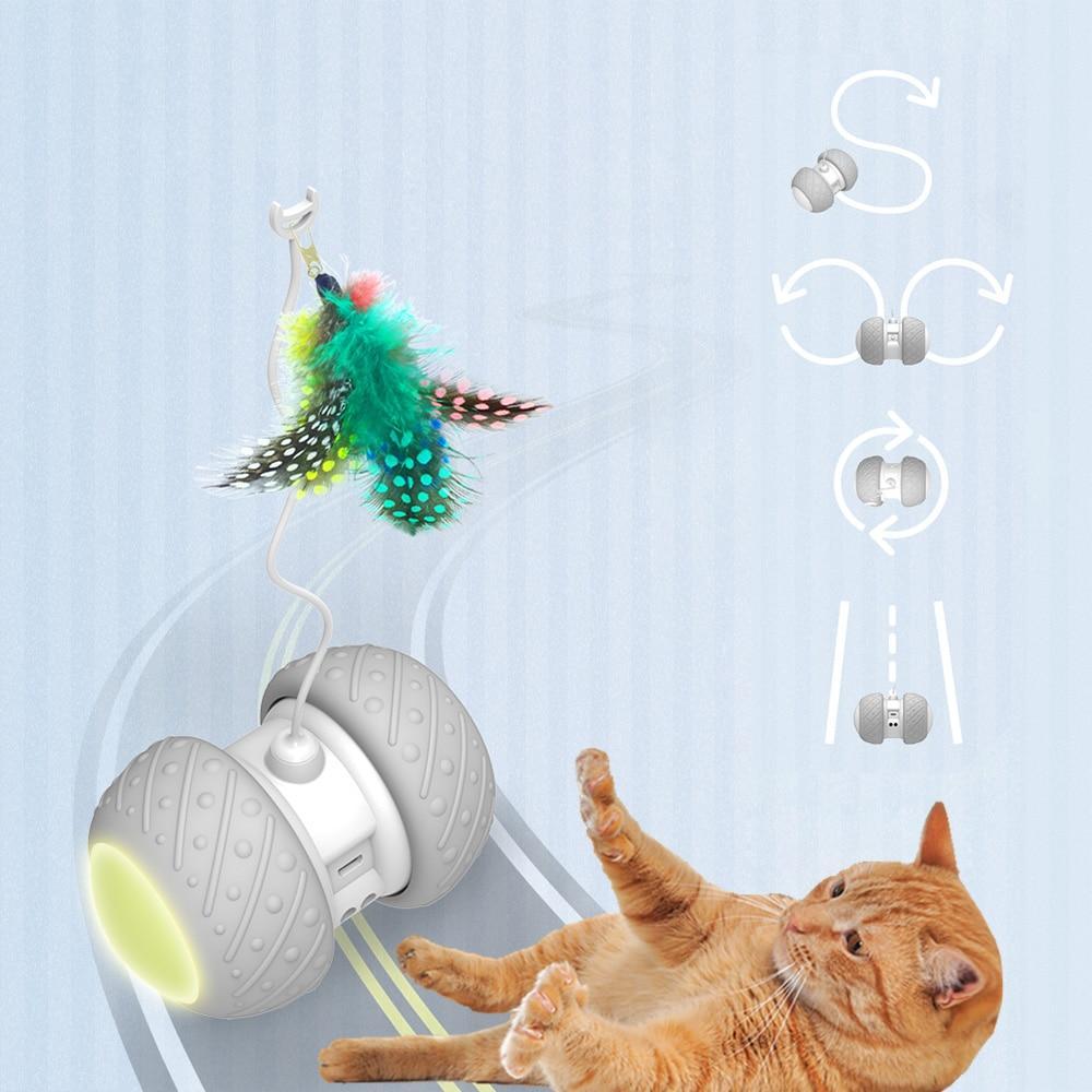 Interactive Robotic Cat Wheel Teaser Toy – I Love Kittys